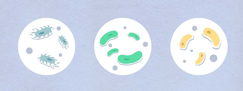 How Often Should You Wash Your Sheets to Keep Bacteria at Bay? - NapLab