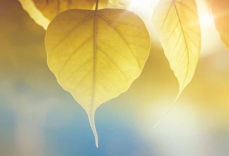How to Wake up Early: 6 Methods Backed by Science - NapLab