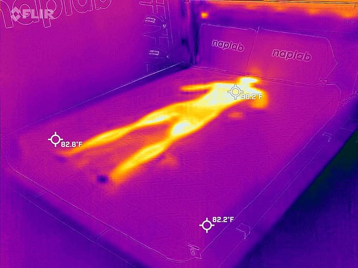 Nest Bedding Quail Review - 10 Data-Driven Tests - NapLab