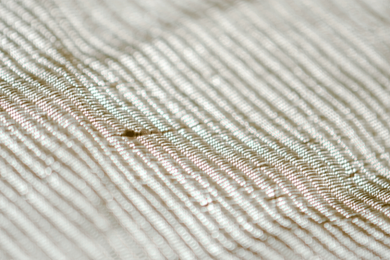 Early Signs of Bed Bugs - 5 Red Flags to Look For - NapLab