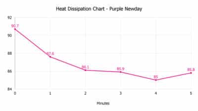 Purple Flex Review - 10 Data-Driven Tests - NapLab